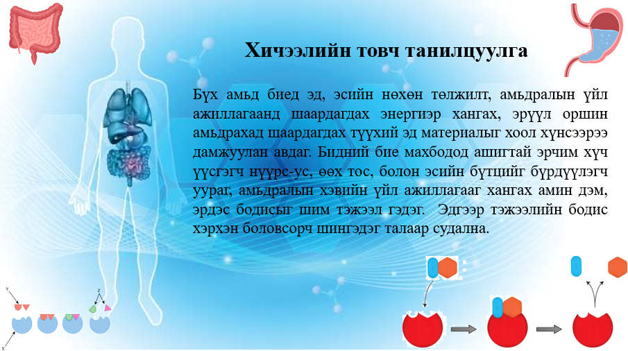 Мэдлээ Цахим контент